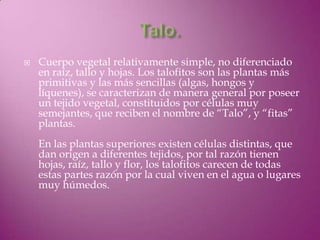 niveles de organizacion pluricelular | PPTX
