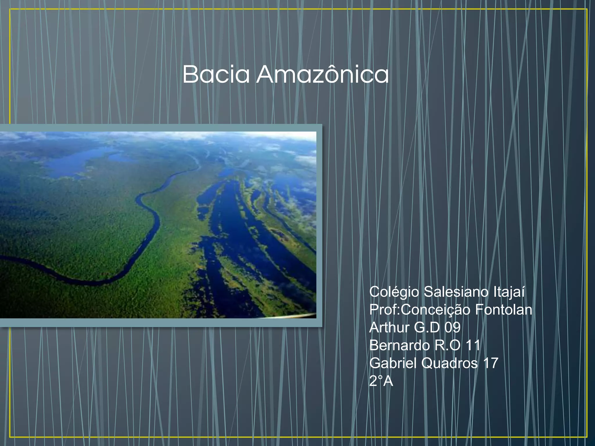 BACIA HIDROGRÁFICA DO RIO AMAZONAS | PPTX