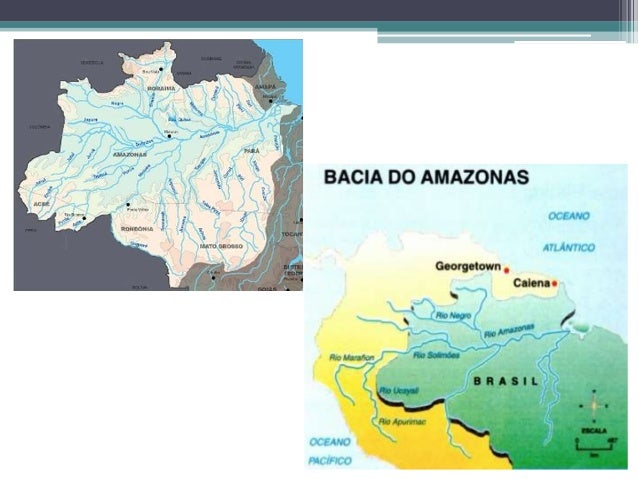 Bacia hidrográfica amazônica