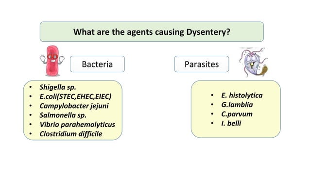 BACILLARY DYSENTERY diagnosis and treatment.pptx
