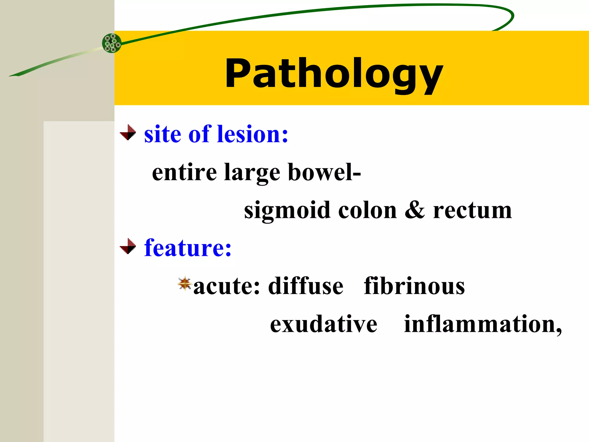 Bacillary dysentery (shigellosis | PPT