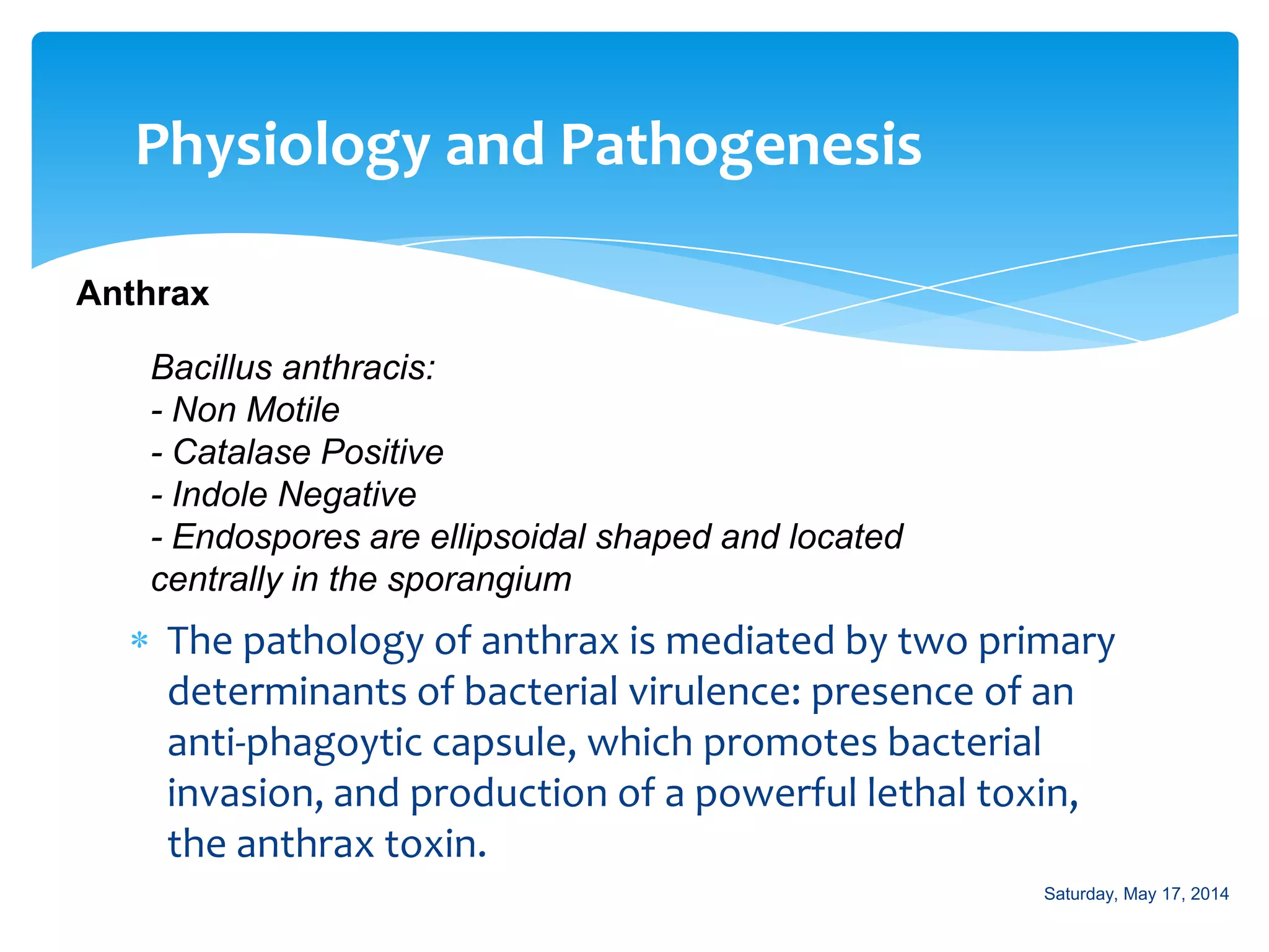 Bacteriology: Bacillus | PPTX