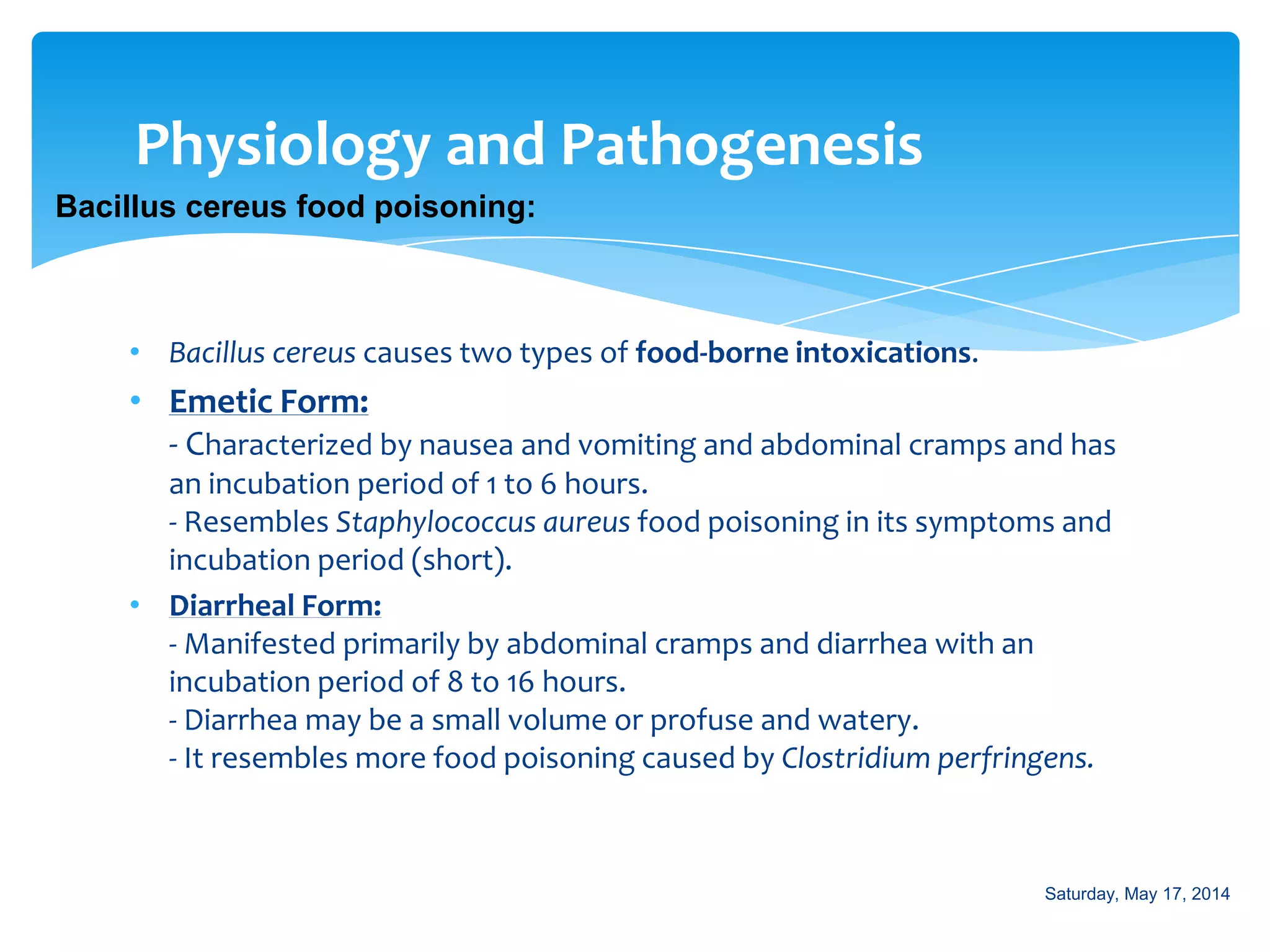 Bacteriology: Bacillus | PPTX | Biological Sciences | Science