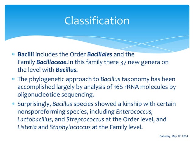 Bacteriology: Bacillus | PPTX | Biological Sciences | Science