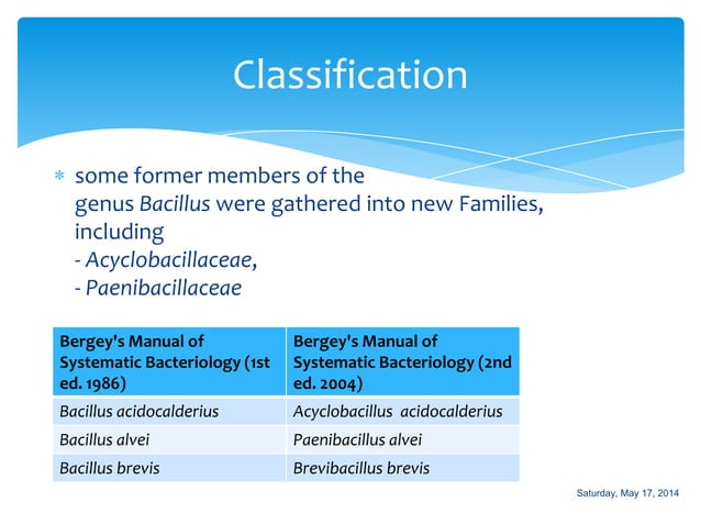 Bacteriology: Bacillus | PPTX | Biological Sciences | Science