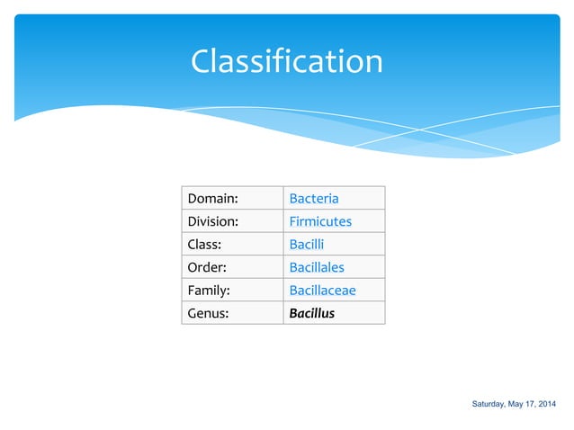 Bacteriology: Bacillus | PPTX | Biological Sciences | Science