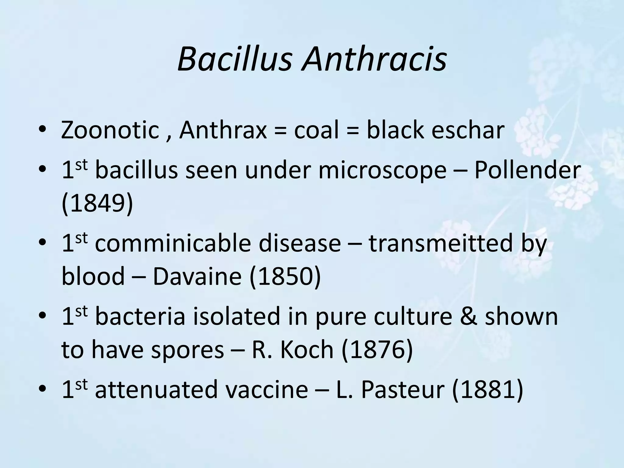 Bacillus | PPTX