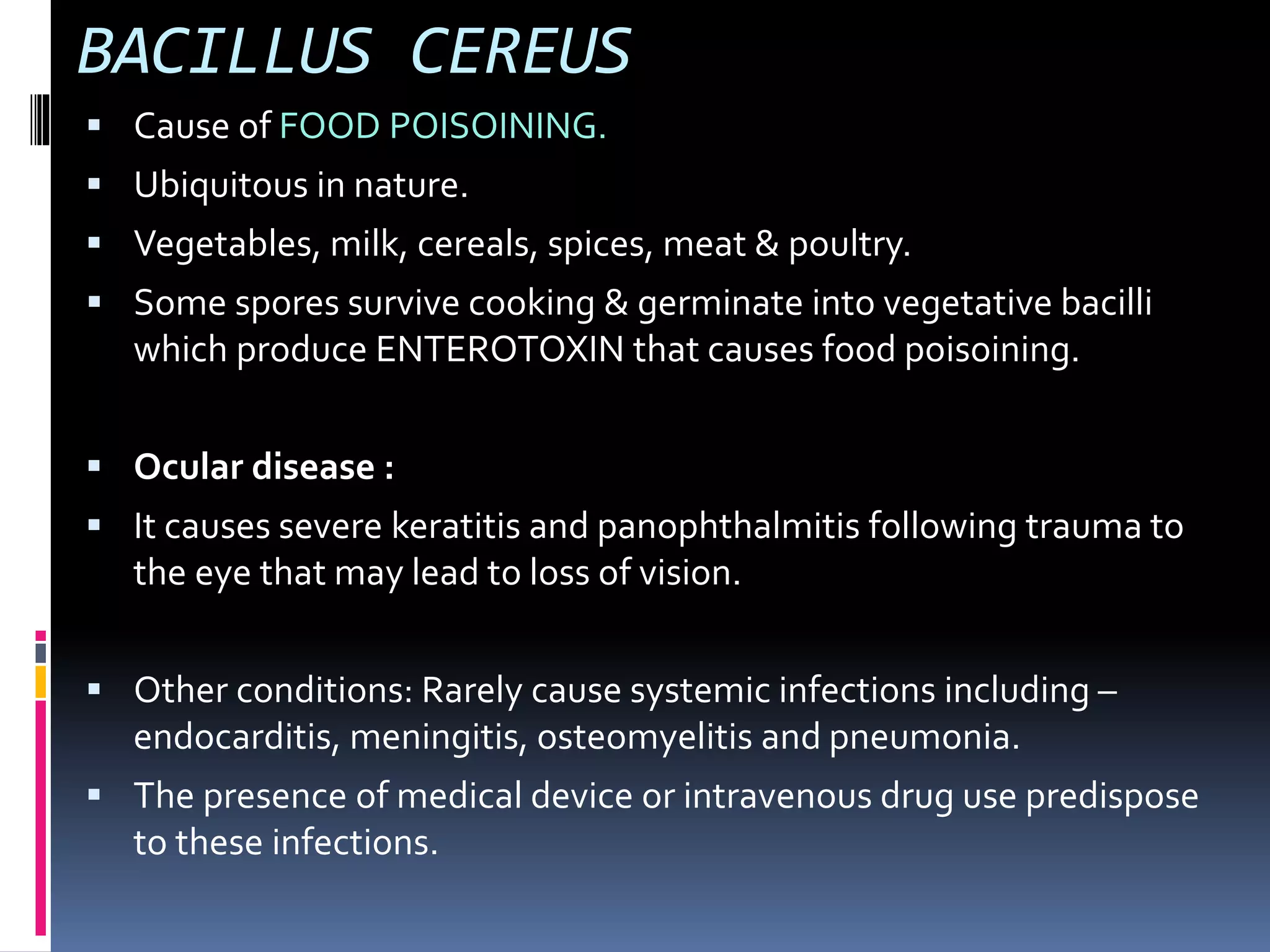Bacillus species | PPTX