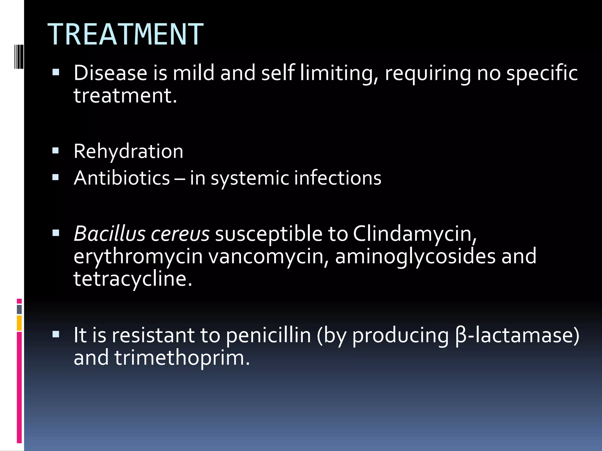 Bacillus species | PPTX