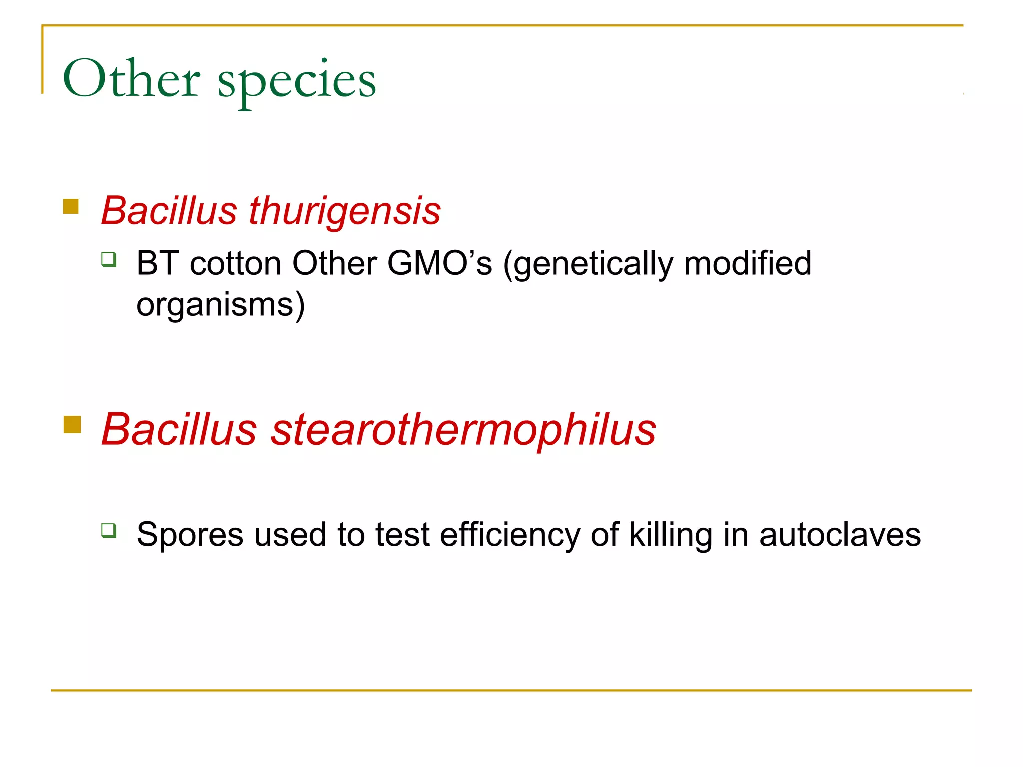 Bacillus | PPT