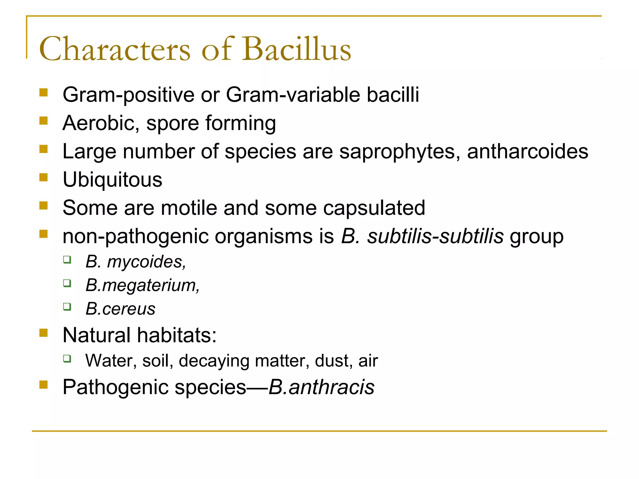 Bacillus | PPT
