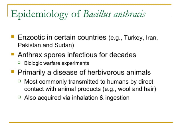 Bacillus | PPT | Infectious Diseases | Diseases and Conditions
