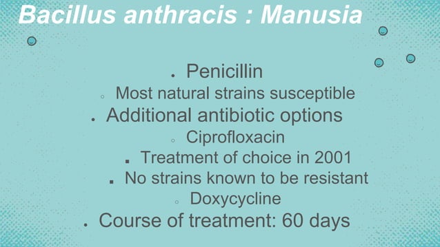 bacillus.pptx