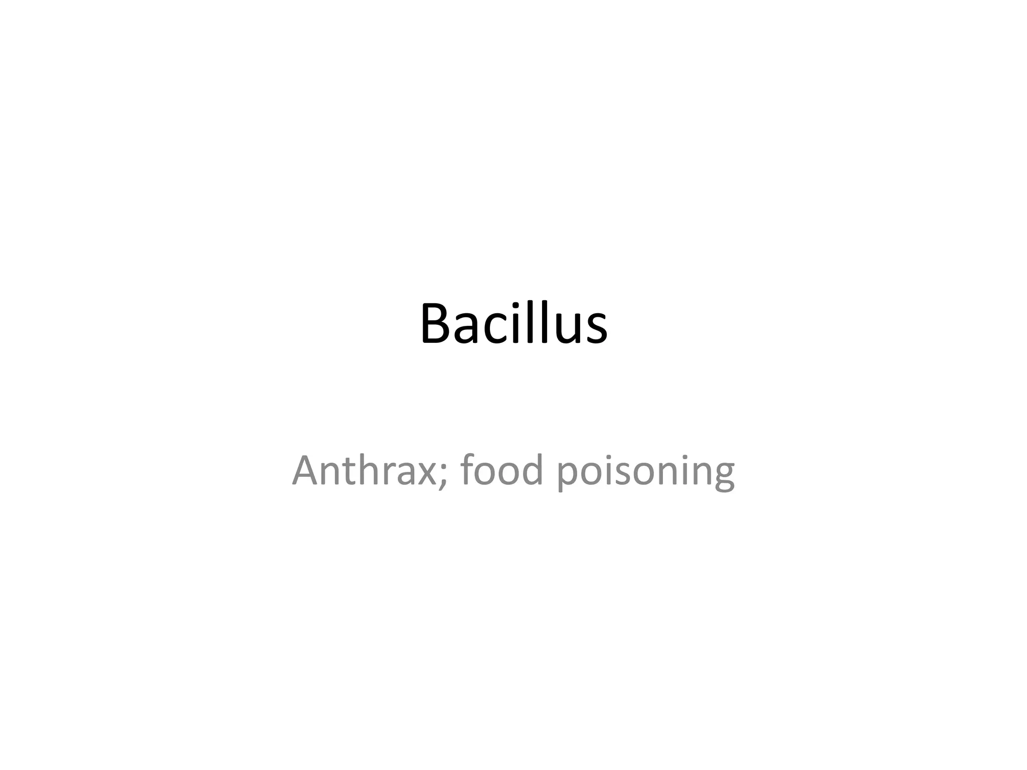 Bacillus species in medical microbiology | PPT