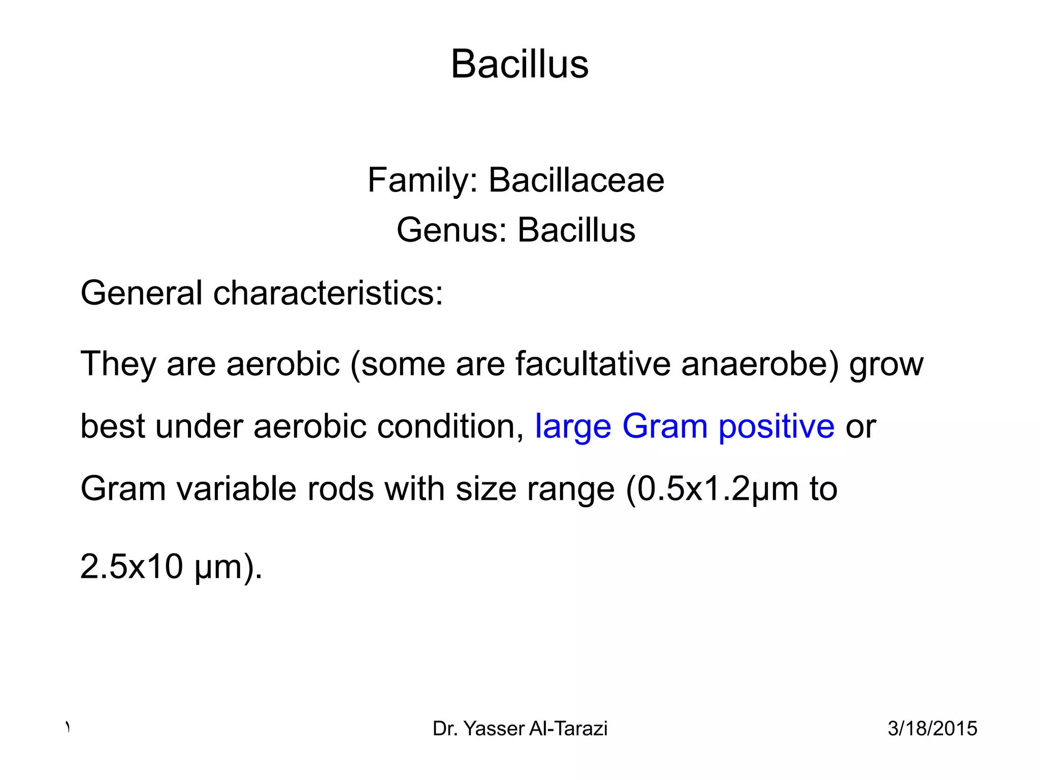 Bacillus1 | PDF