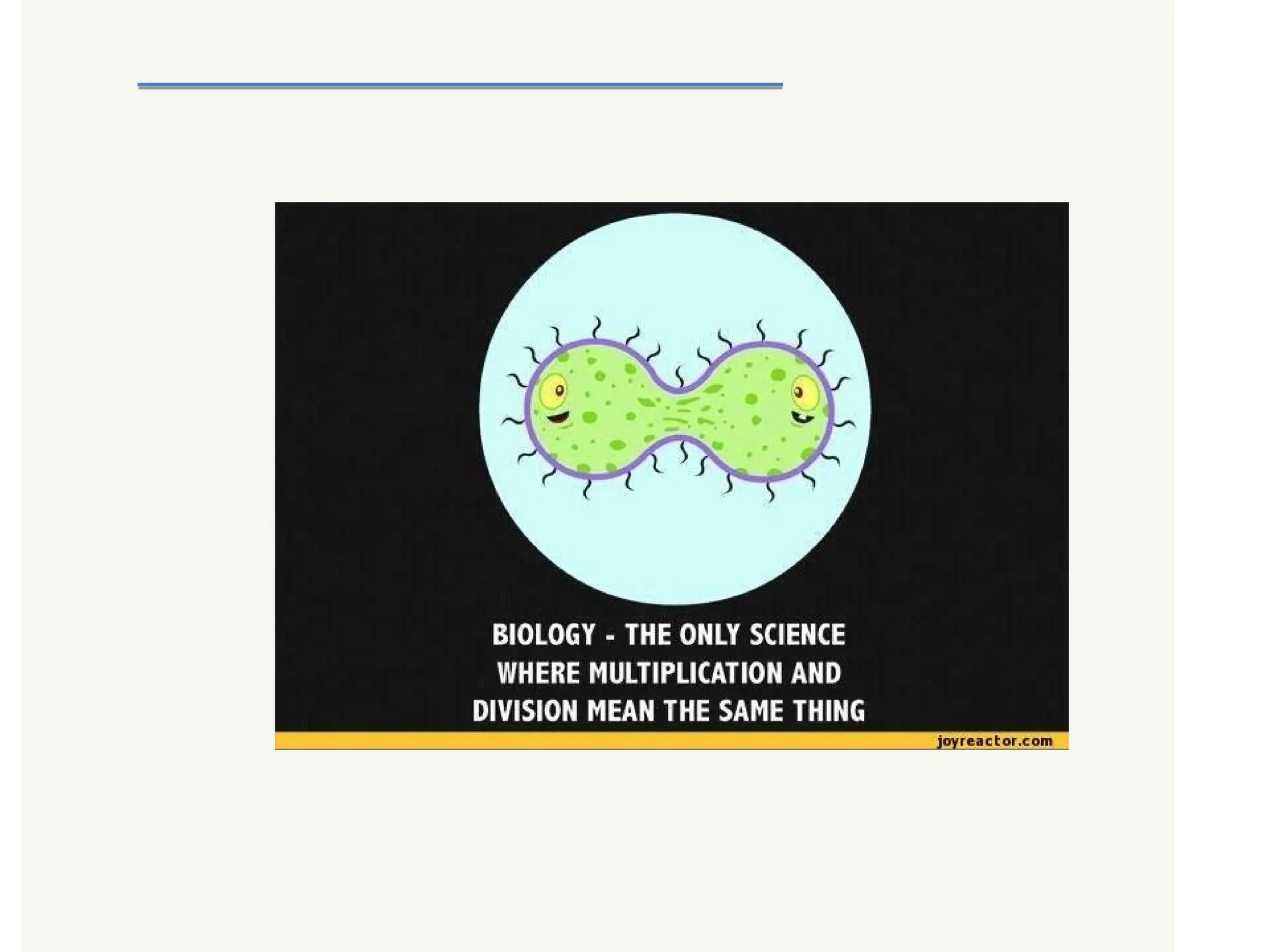 Bacillus bacteriology microbiology notes.ppt