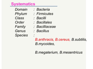Bacillus bacteriology microbiology notes.ppt