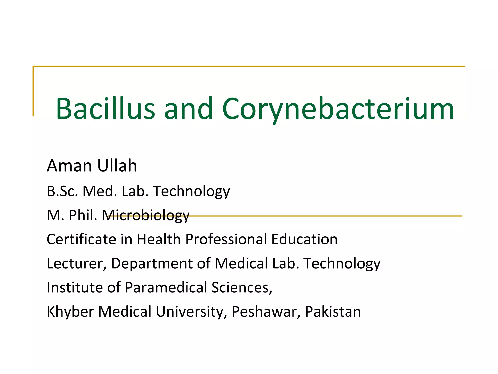 Bacillus and Corynebacterium | PPT