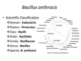 Bacillus anthracis-NEB2011 | PPT