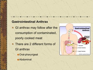 Bacillus anthracis | PPT