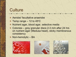 Bacillus anthracis | PPT