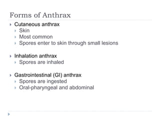 Bacillus anthracis | PPT