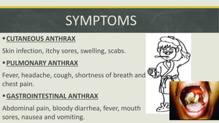 Bacillus anthracis | PPTX