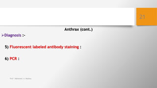 Bacillus anthracis 2016 2017 original | PPTX