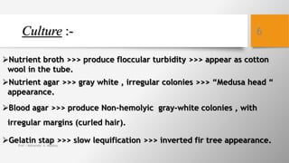 Bacillus anthracis 2016 2017 original | PPTX