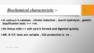 Bacillus anthracis 2016 2017 original | PPTX