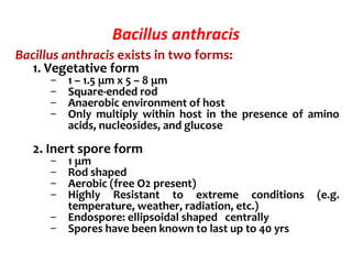 Bacillus anthracis toxins | PPT