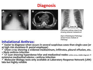 Bacillus anthracis toxins | PPT