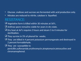 BACILLUS ANTHRAX A overview of SlideShare | PPTX