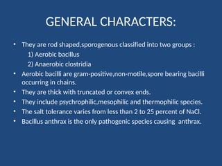 BACILLUS ANTHRAX A overview of SlideShare | PPT