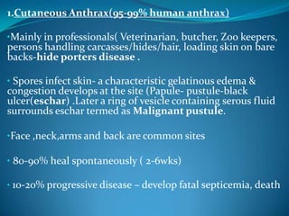 Bacillus anthrax ,a potent bioweapon | PPTX