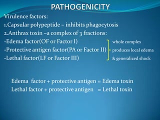 Bacillus anthrax ,a potent bioweapon | PPTX