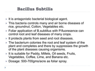 bacillus biocontol.pptx