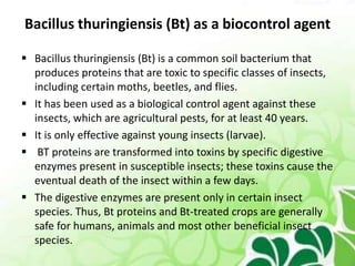 bacillus biocontol.pptx