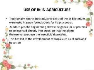 bacillus biocontol.pptx