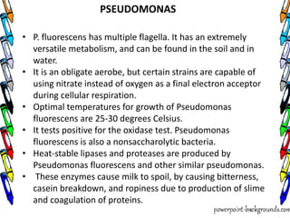 bacillus biocontol.pptx