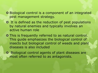 bacillus biocontol.pptx