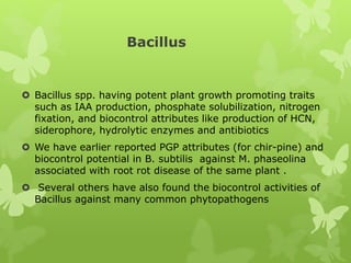 bacillus biocontol.pptx