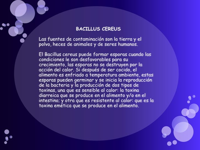 Bacillus cereus | PPT
