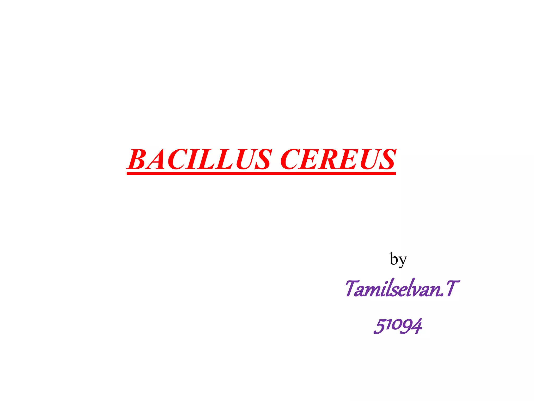 Bacillus cereus - contamination in food | PDF