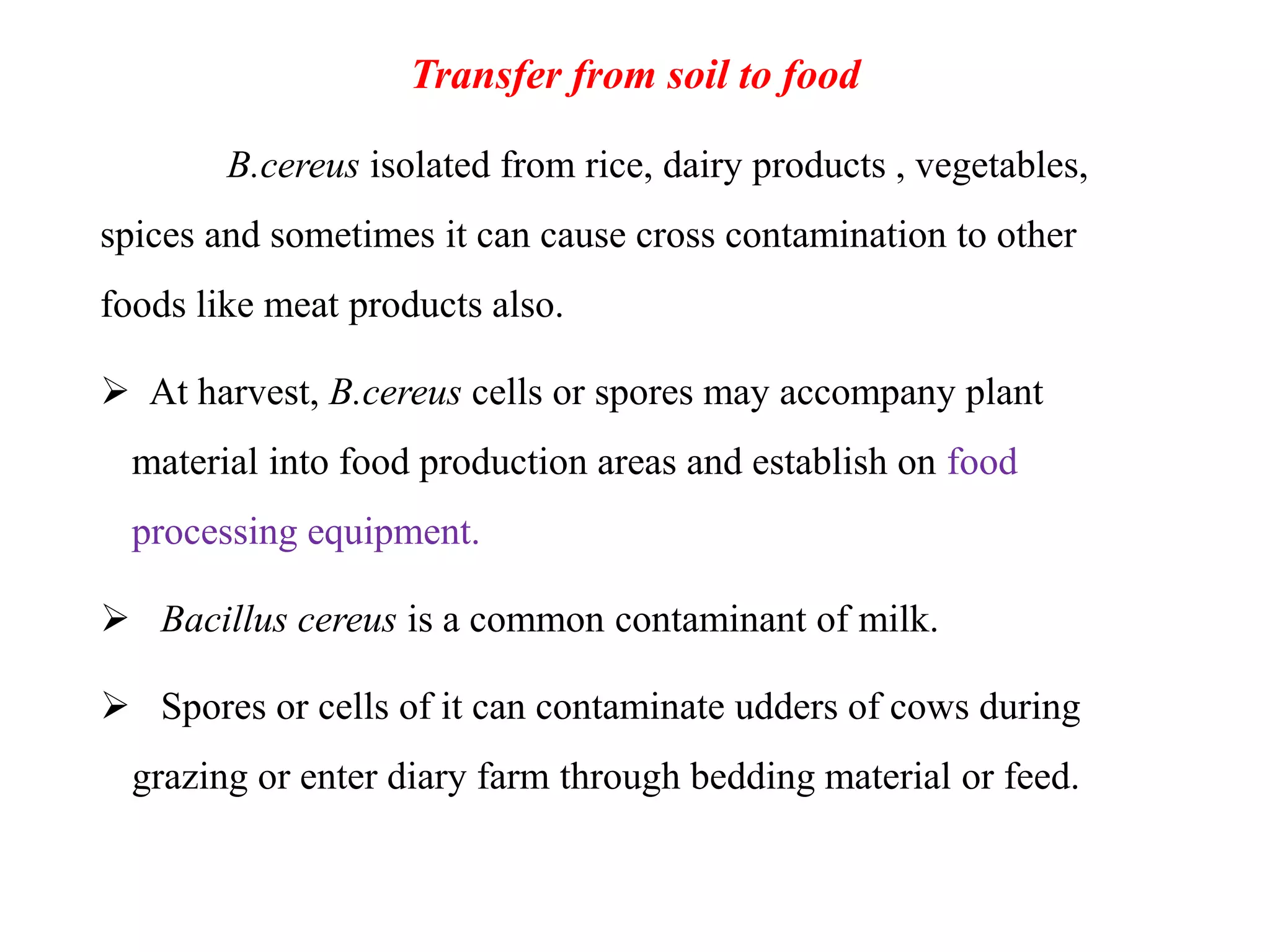 Bacillus cereus - contamination in food | PDF