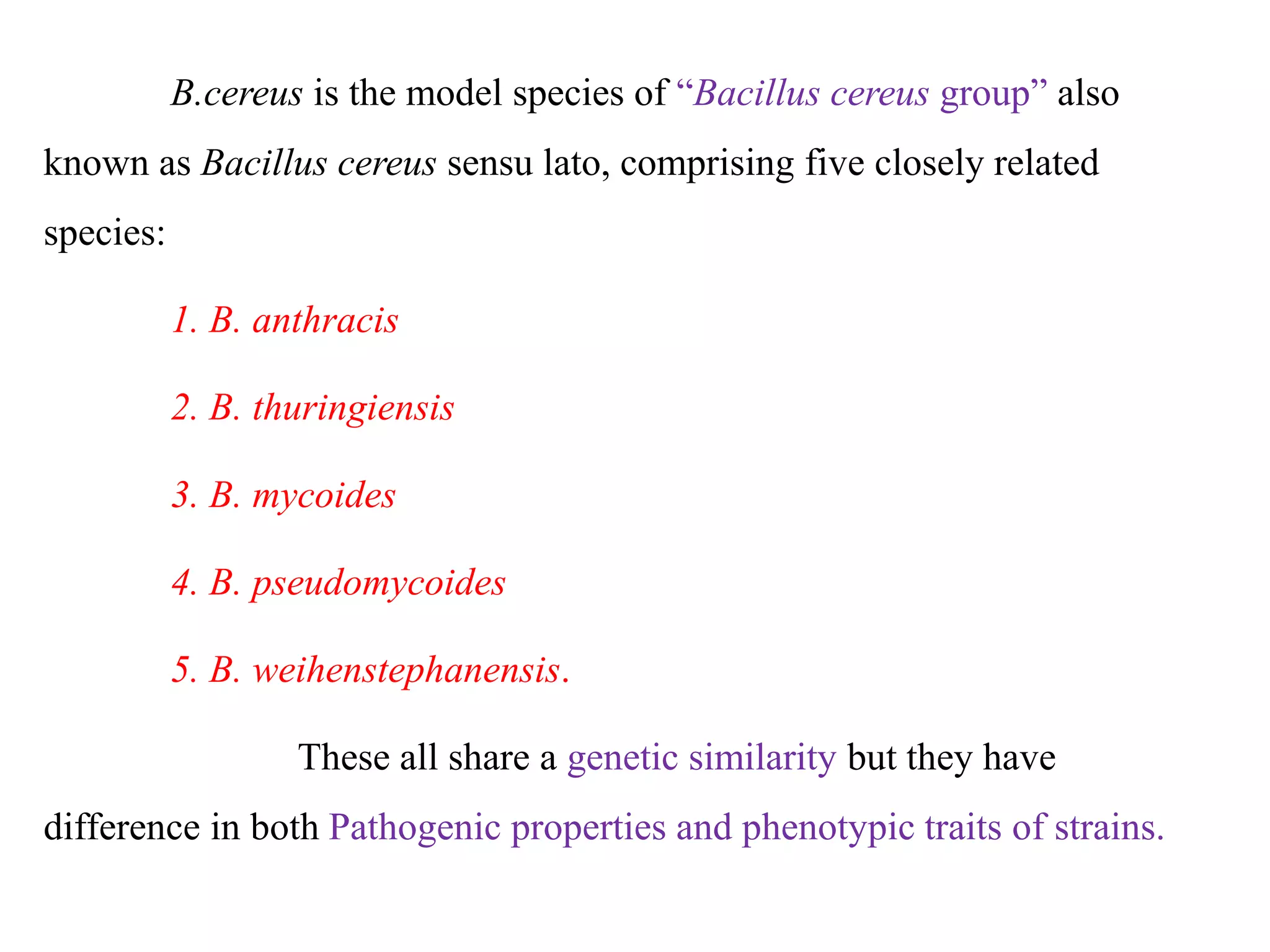 Bacillus Cereus Contamination In Food Pdf