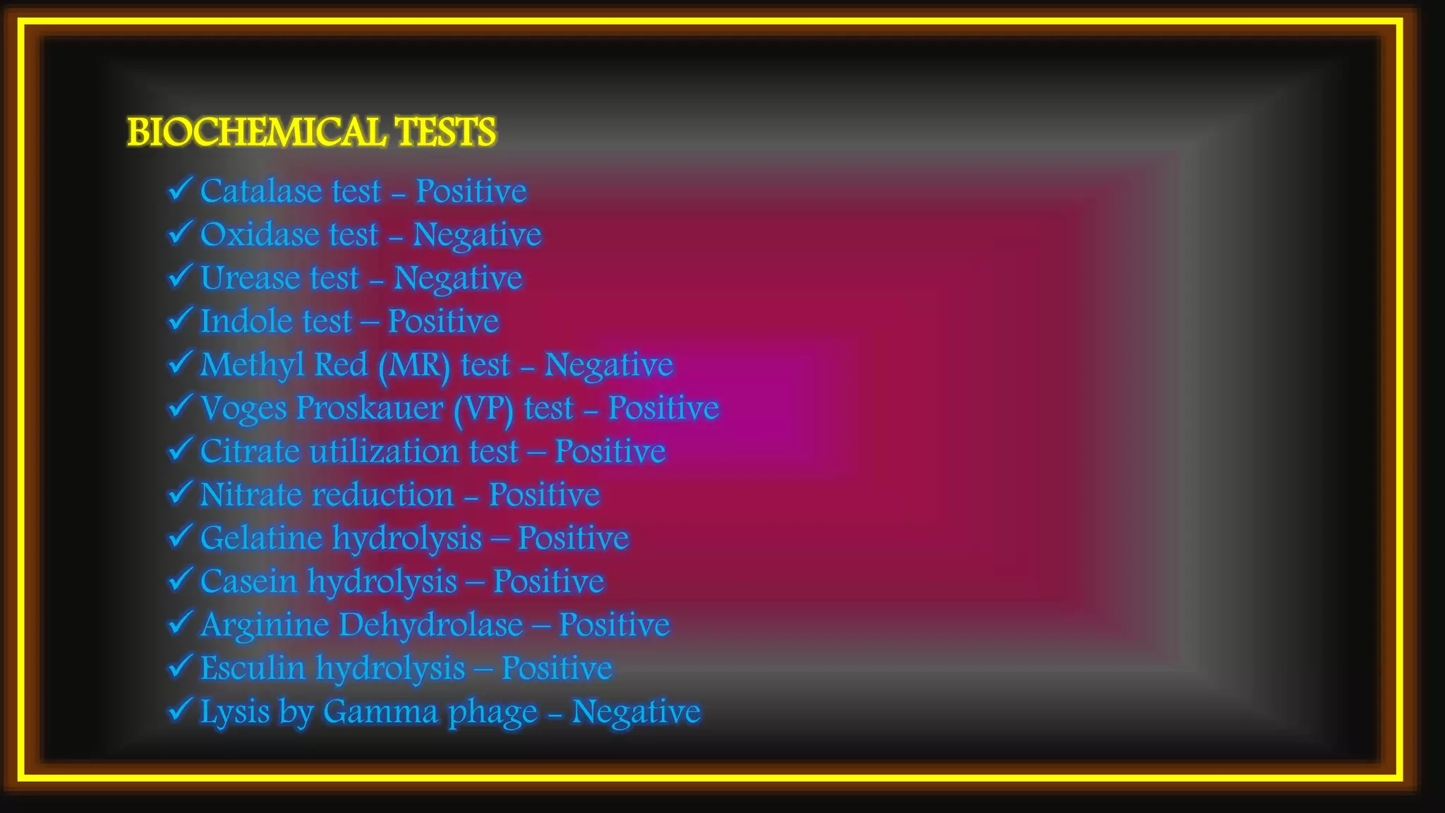Bacillus cereus.pptx
