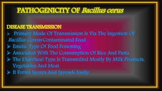 Bacillus cereus.pptx