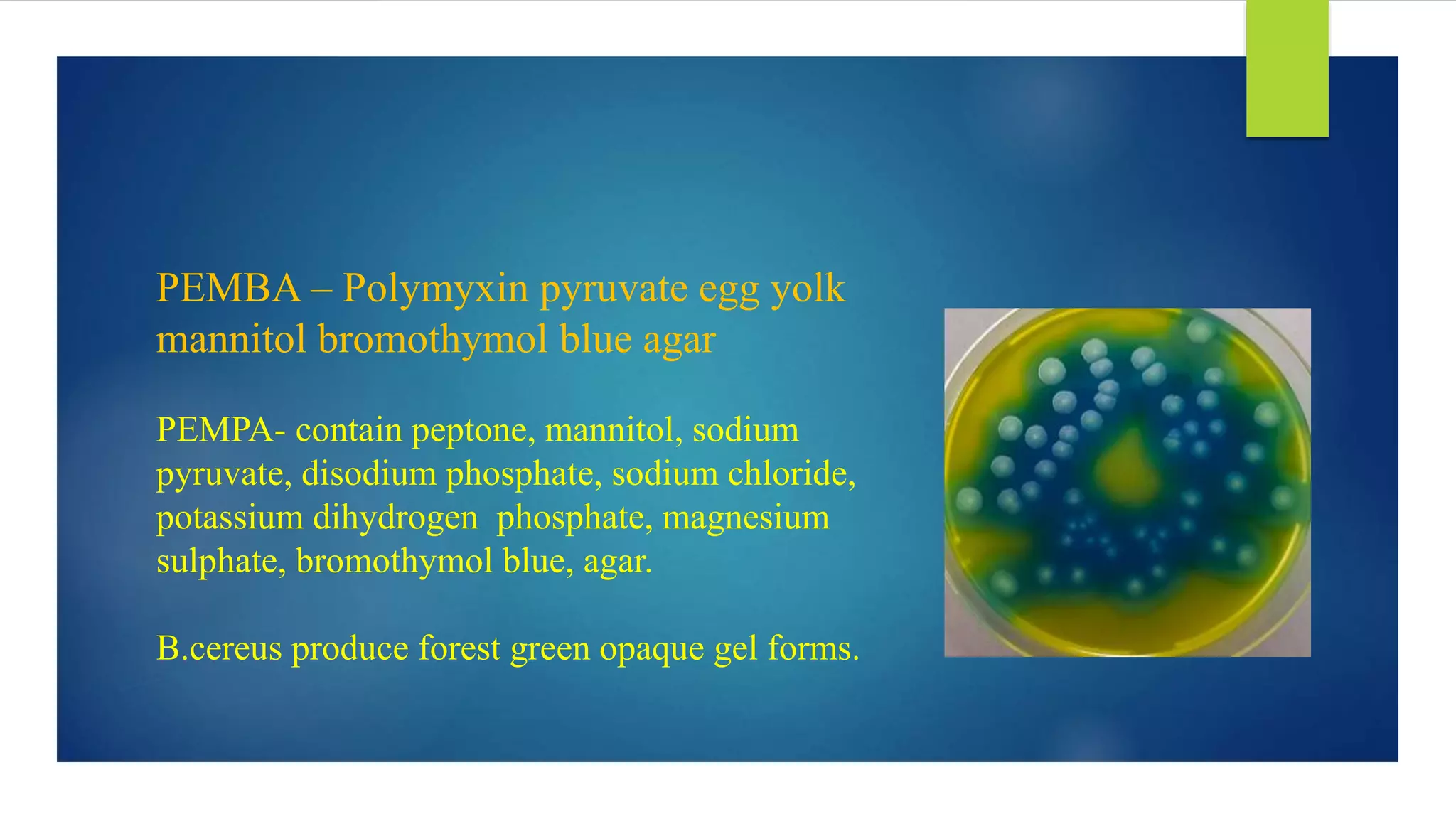 BACILLUS CEREUS.pptx