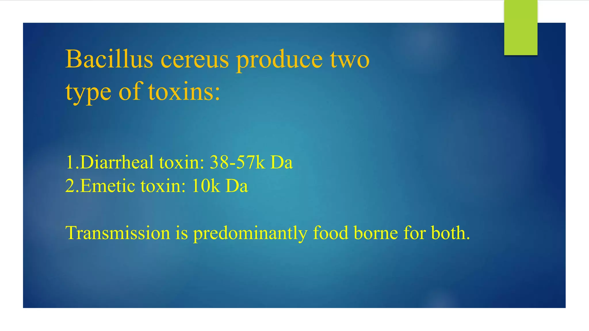 BACILLUS CEREUS.pptx